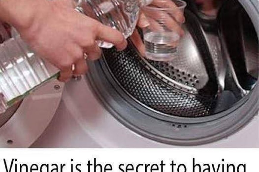 Yes, vinegar helps clean the washing machine thoroughly: here’s how to ...