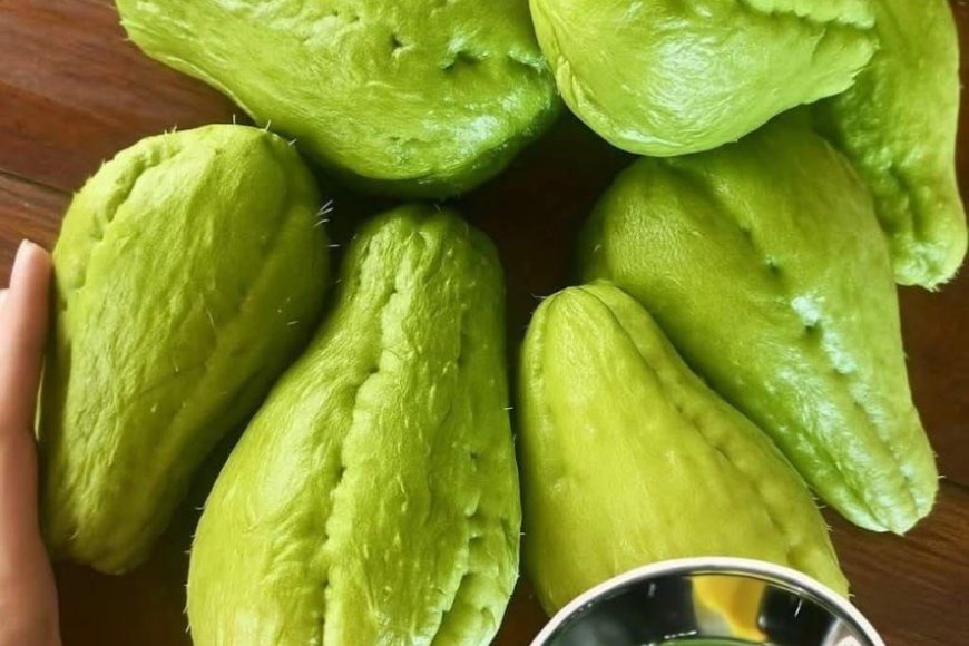 Benefits and Uses of Chayote Juice: A Refreshing Boost for Your Health ...