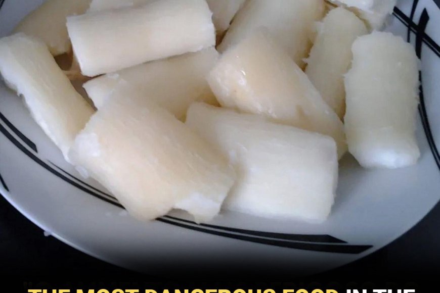 Toxic if improperly prepared: - Rezepte