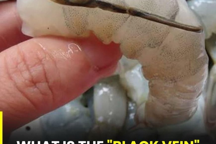 The Dark Line in Shrimp Explained: What It Really Is—and Why Cooks ...
